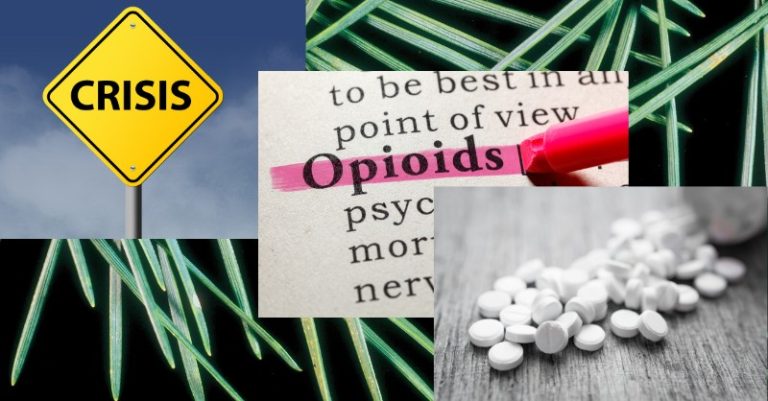Opioid crisis USA: Causes, impact, and recovery efforts