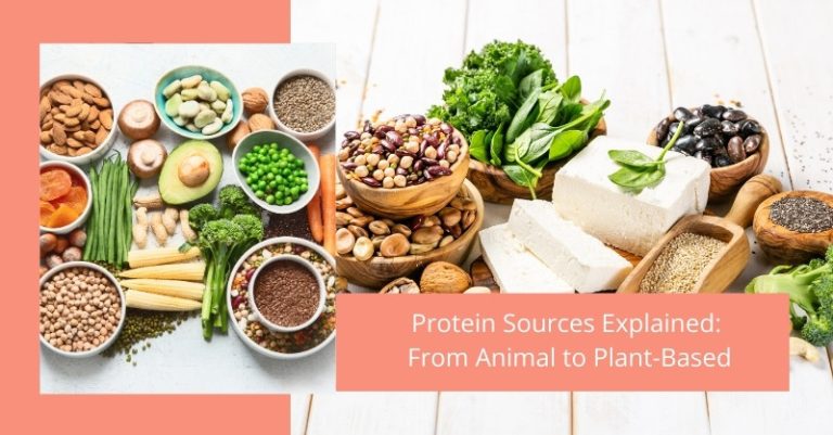 Protein Sources: Animal, Plant-Based & More
