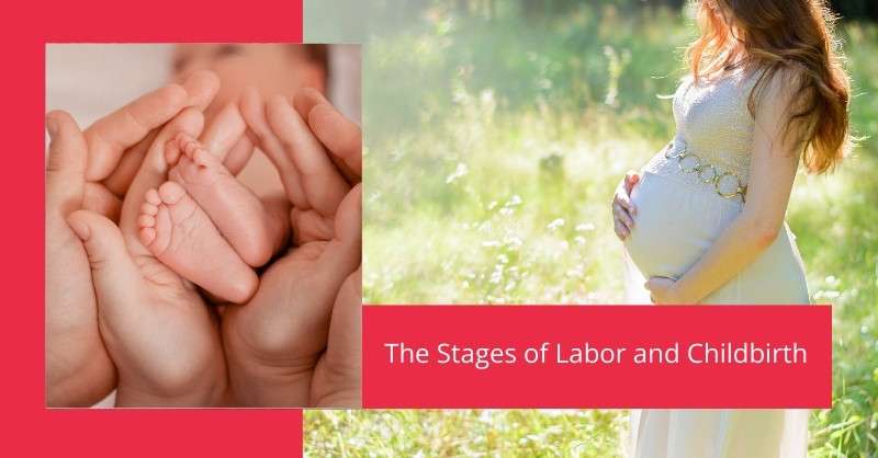 Pregnancy and Childbirth Stages Explained