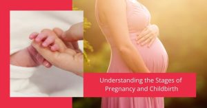 Pregnancy and Childbirth Stages Explained