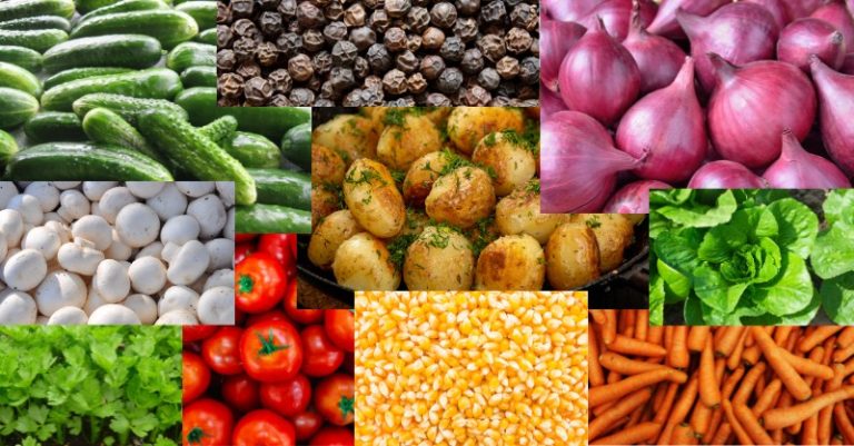Vegetables that cure diseases: Boost Your Health Naturally