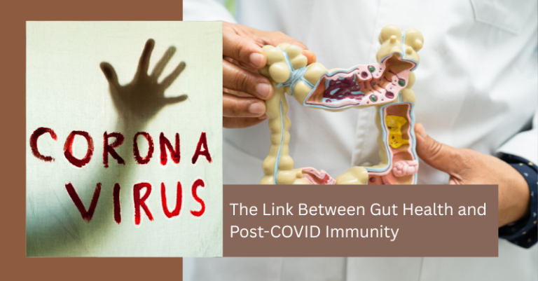 Gut Health & Post COVID Immunity: Restoration Guide 2026